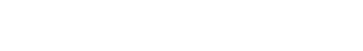 IATA 953 Air Freight Inspection | Projekt Elektronik GmbH